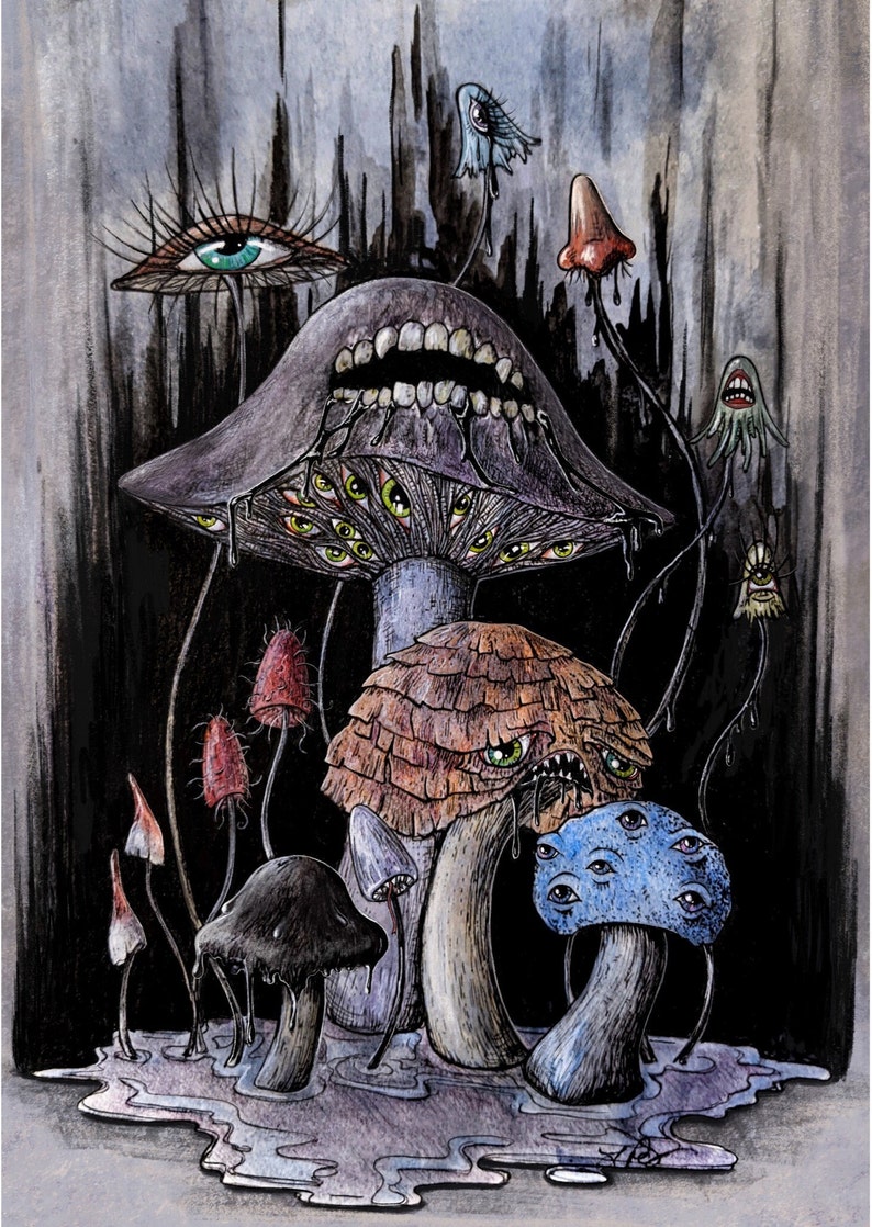 The Fungi Freaks, Spooky Mushrooms, Creepy Cottagecore, Macabre ...