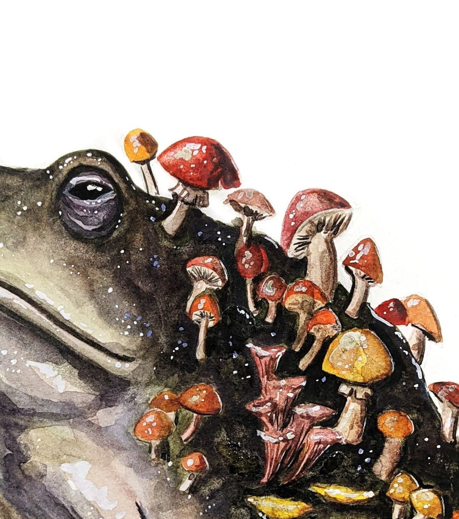 Toadstool Toad Art Fantasy Road Art Mushroom Art - Etsy