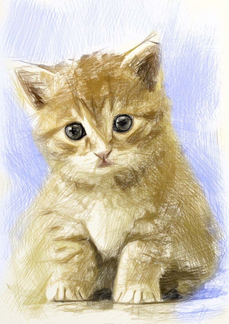 Custom Pencil Pet Portraits Personalised Hand Drawn Portraits - Etsy