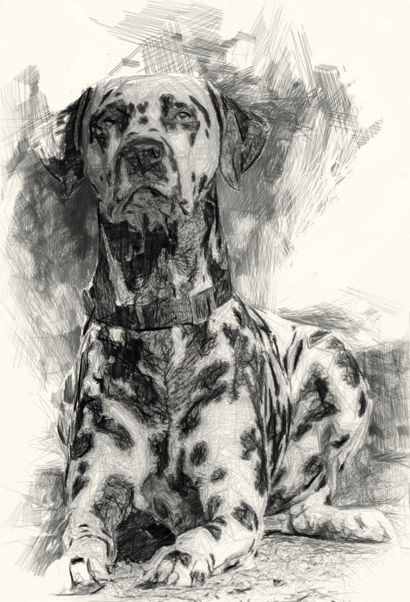 Custom Pencil Pet Portraits Personalised Hand Drawn Portraits | Etsy