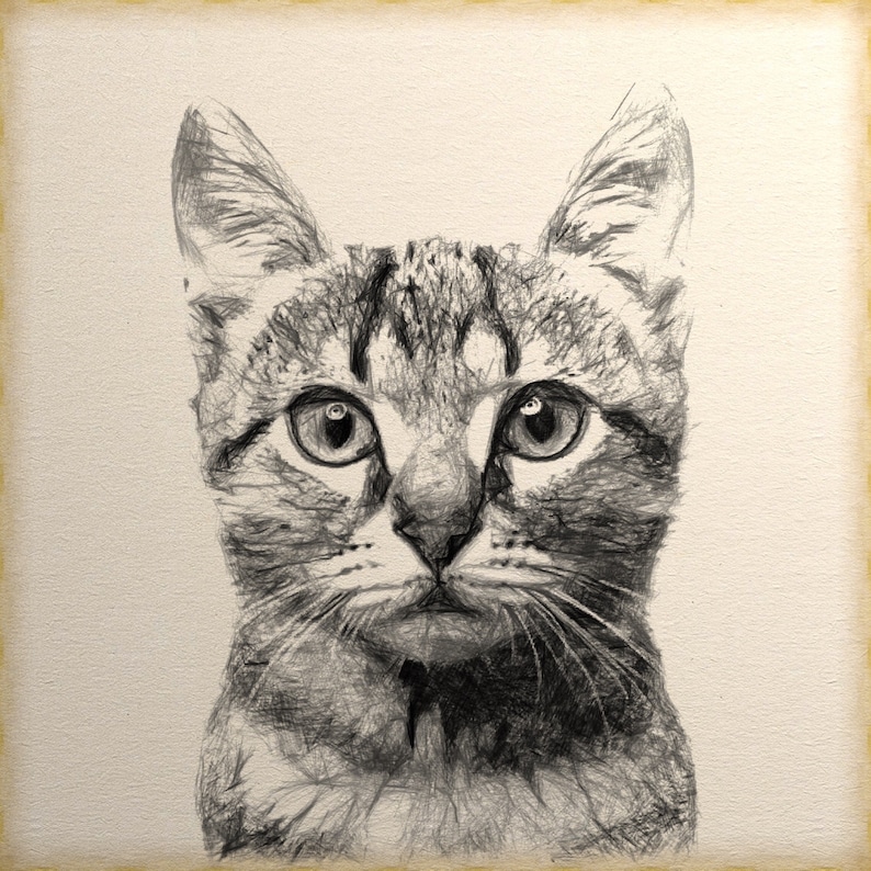 Custom Pencil Pet Portraits Personalised Hand Drawn Portraits - Etsy