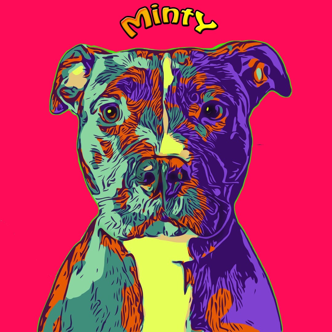 Custom Pet Pop Art Portrait DIGITAL, Hand Drawn Colorful Pop Art ...