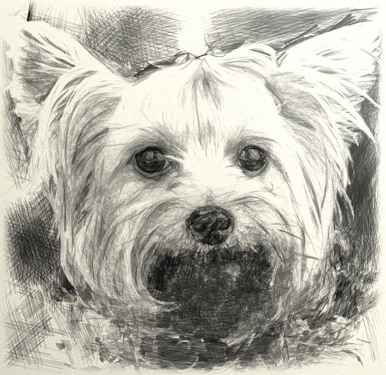 Custom Pencil Pet Portraits Personalised Hand Drawn Portraits - Etsy