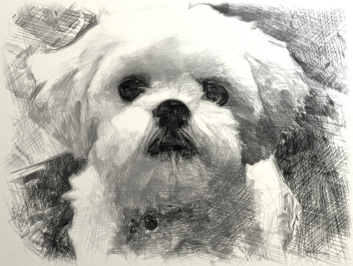 Custom Pencil Pet Portraits Personalised Hand Drawn Portraits - Etsy