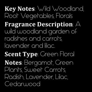 Dryad - Wild Woodland, Root Vegetables, Florals - Rollerball Perfume ...