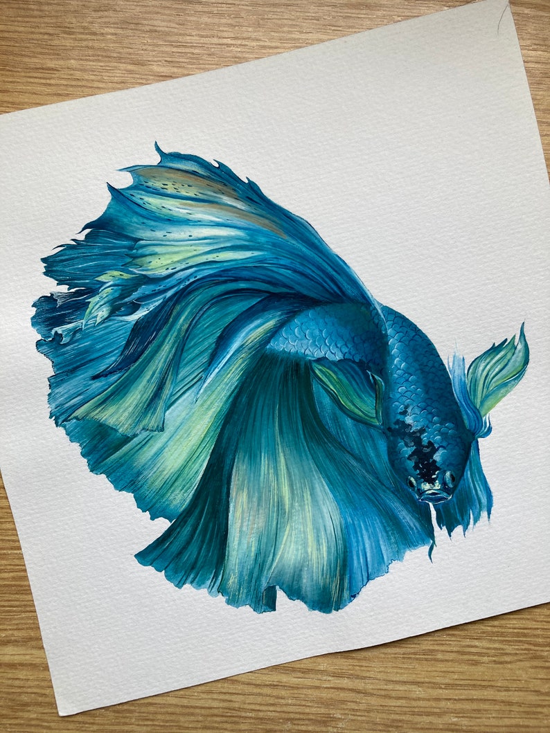 Original Watercolour Painting, Fighter/fish, in 3 Different Colours ...