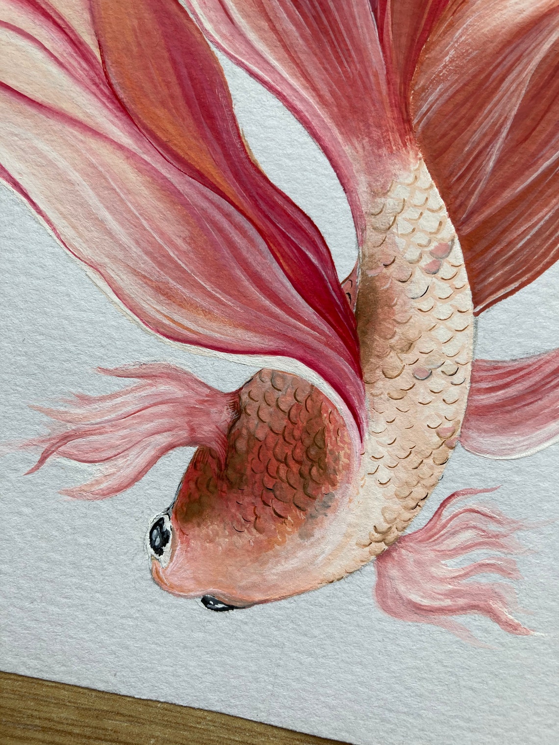 Original Watercolour Painting, Fighter/fish, in 3 Different Colours ...