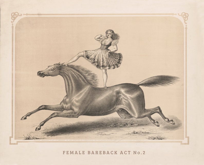 Vintage Equestrian Circus Prints, 1870s Horse Riders Wall Art (digital ...