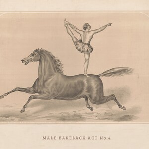 Vintage Equestrian Circus Prints, 1870s Horse Riders Wall Art (digital ...