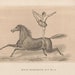 Vintage Equestrian Circus Prints, 1870s Horse Riders Wall Art (digital ...