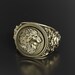 Men With Lion Ring, Greek Mythology Ring, Greek God Rings for Men ...
