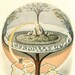 Yggdrasill the Mundane Tree Ancient Flat Earth Model in - Etsy Canada
