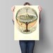 Yggdrasill the Mundane Tree Ancient Flat Earth Model in - Etsy Canada