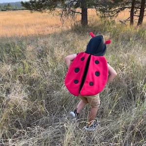 Adorable Ladybug Costume for Kids, Children's Fleece Cosplay, Animal ...