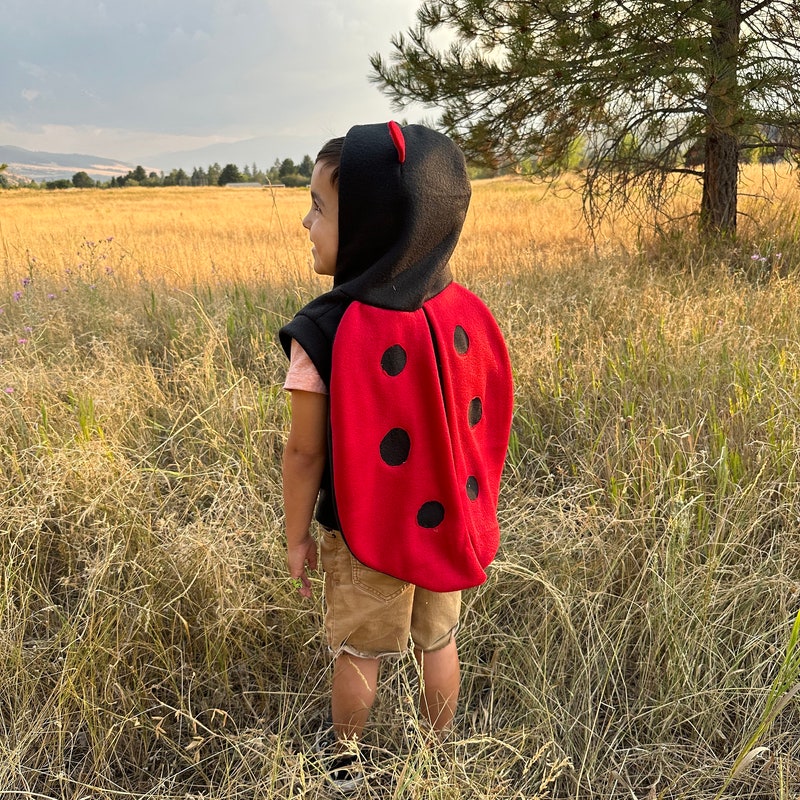 Ladybug Costume - Etsy