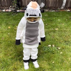 Appa Costume, Avatar; the Last Air Bender Sweatshirt Warm Kids ...