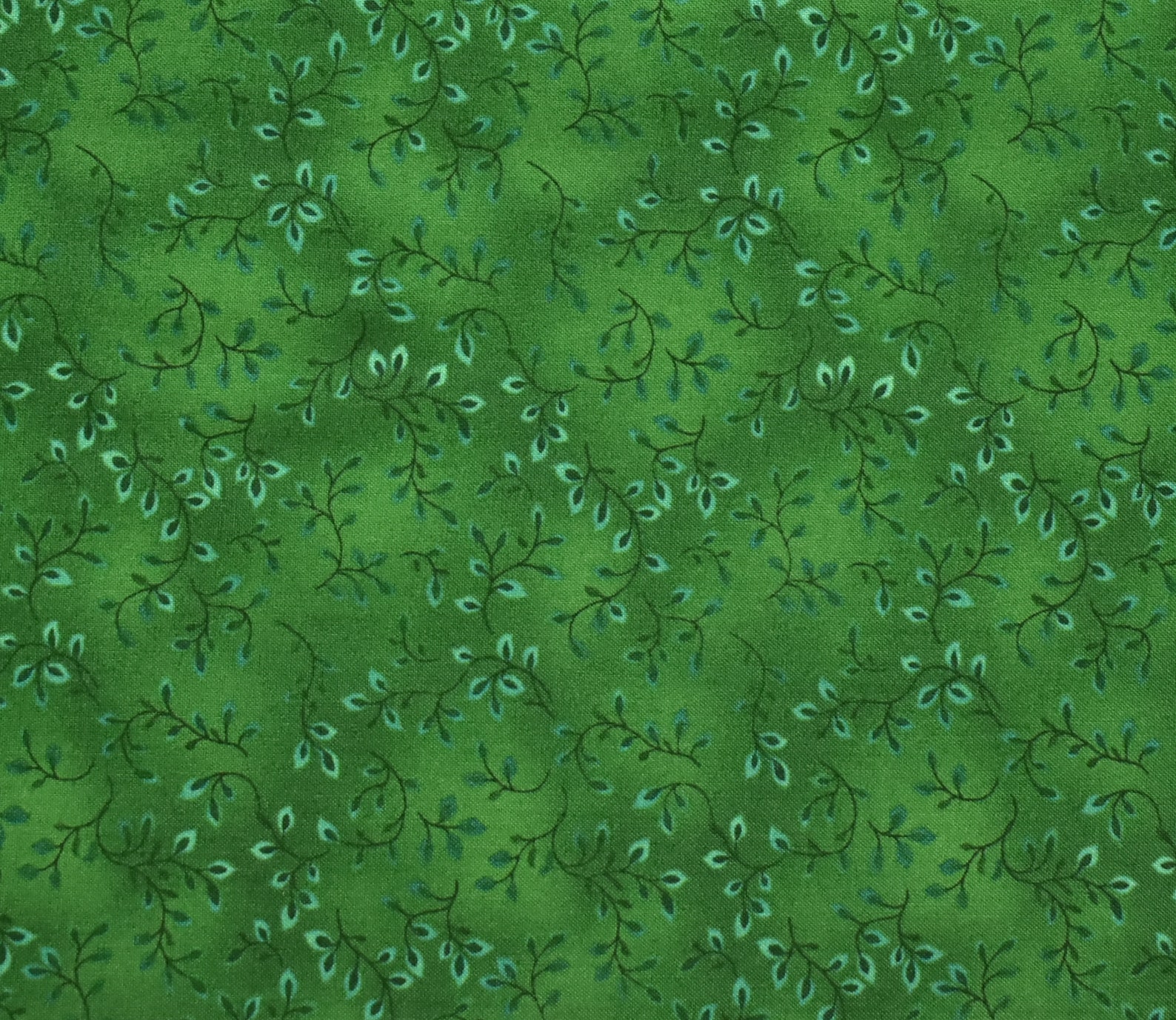 Kelly Vines Henry Glass Folio by Color Principle Premium - Etsy