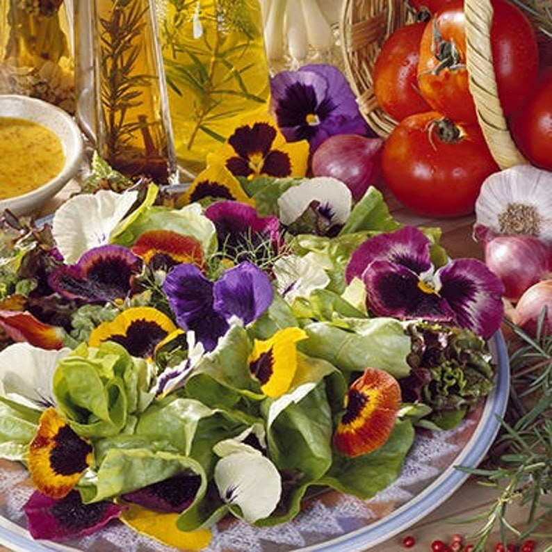 Edible Flower Seed Mix 171 | Etsy