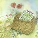 Basket Note Cards - Etsy