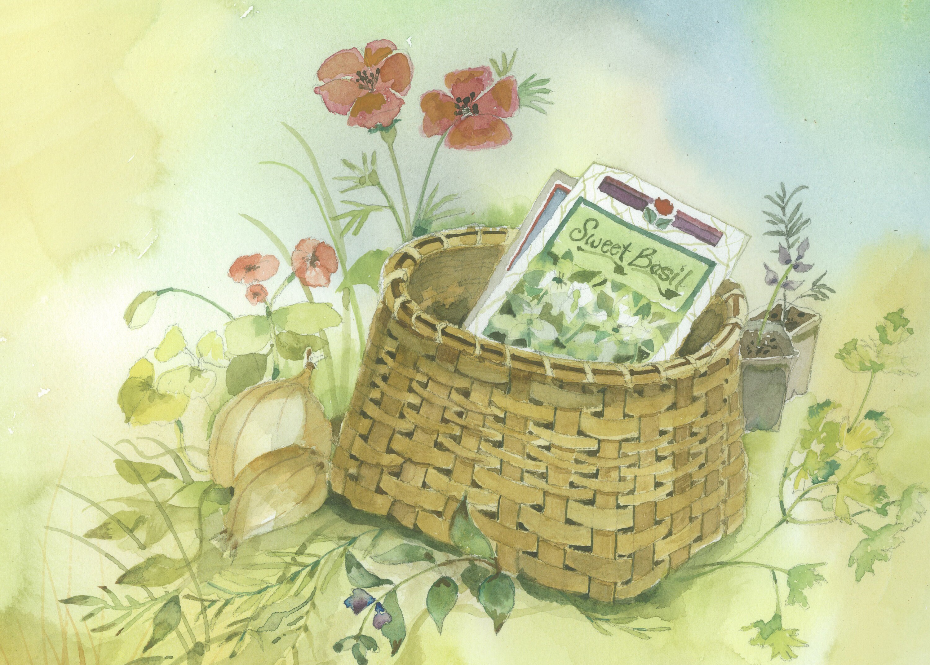 Basket Note Cards - Etsy