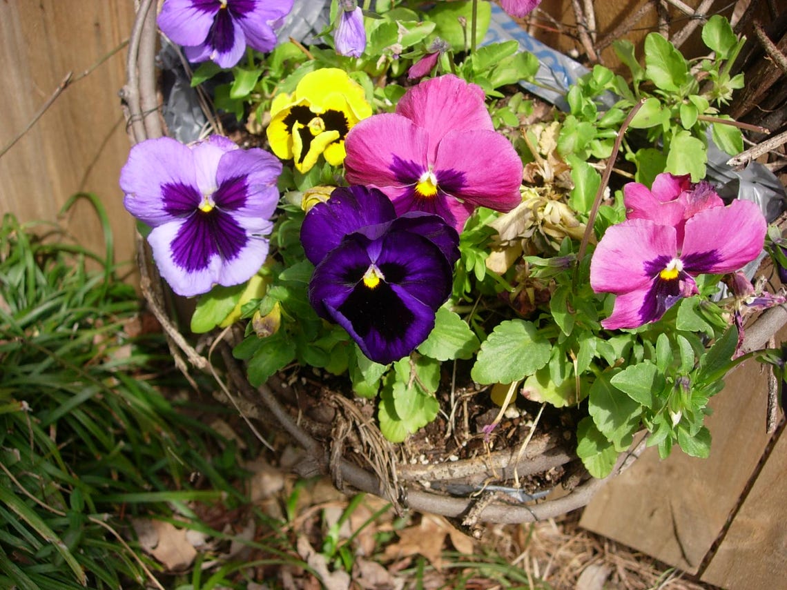 Flower Basket Note Cards -8 Blank Notes - Etsy