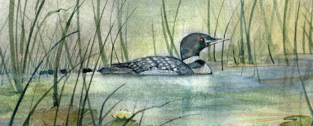 Loon in the Reeds - Etsy