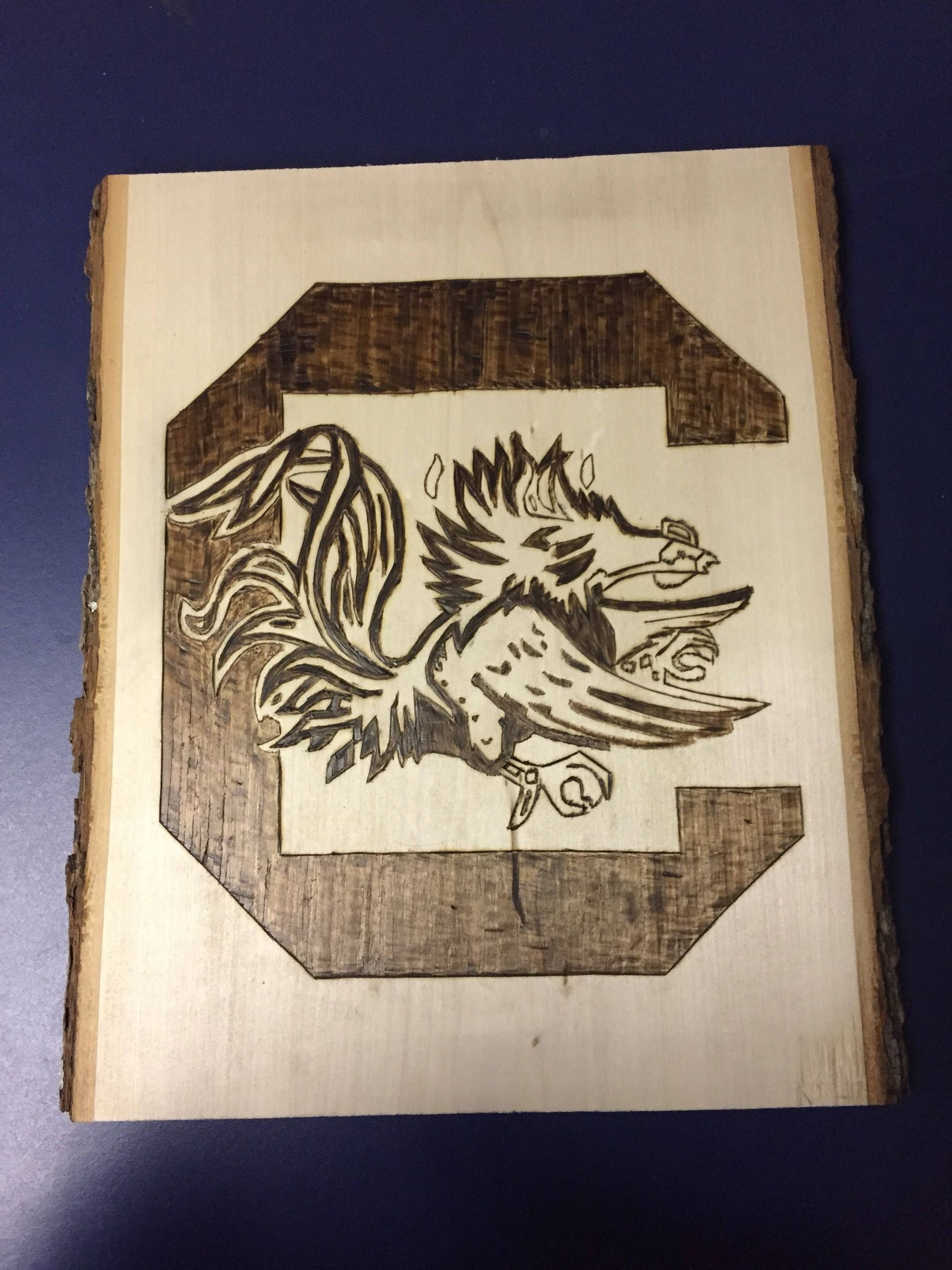 Sport Logos Wood Burned Planks, College, College Teams, Sports, Sport ...