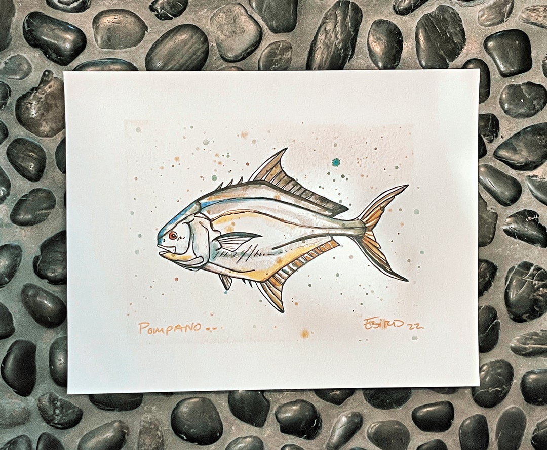 Pompano Fish, Fish Drawing, Pompano, Florida Fish, Watercolor Fish ...