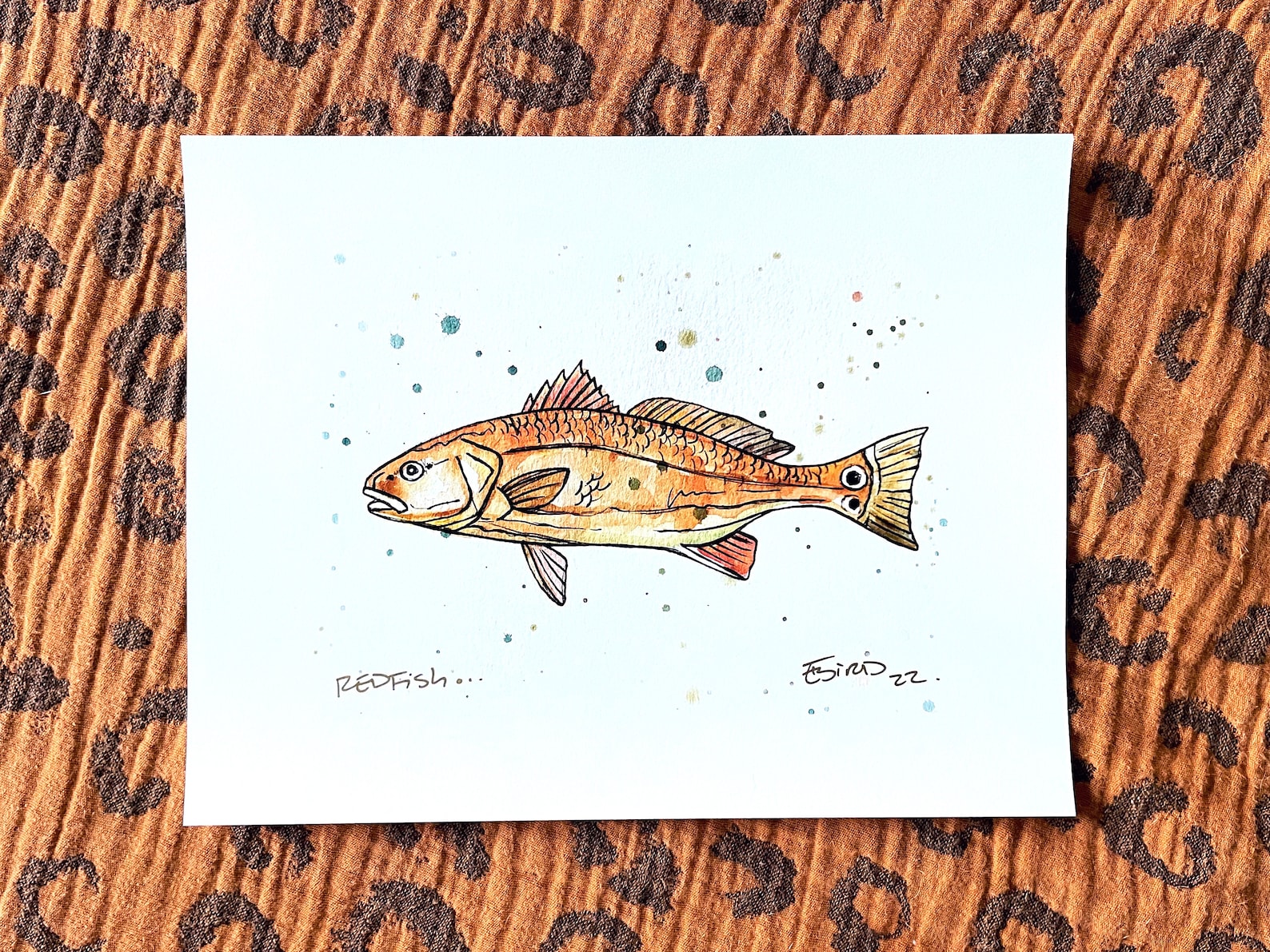 Redfish Art, Redfish, Redfish Print, Redfish Artwork, Redfish Drawing ...