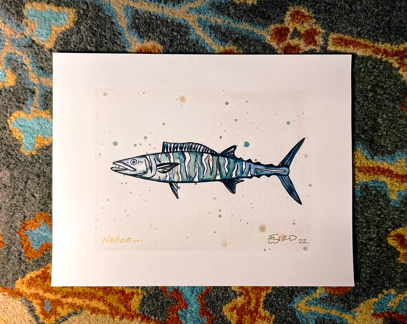 Wahoo, Wahoo Fish, Wahoo Drawing, Wall Art, Wahoo Art, Wahoo Painting ...