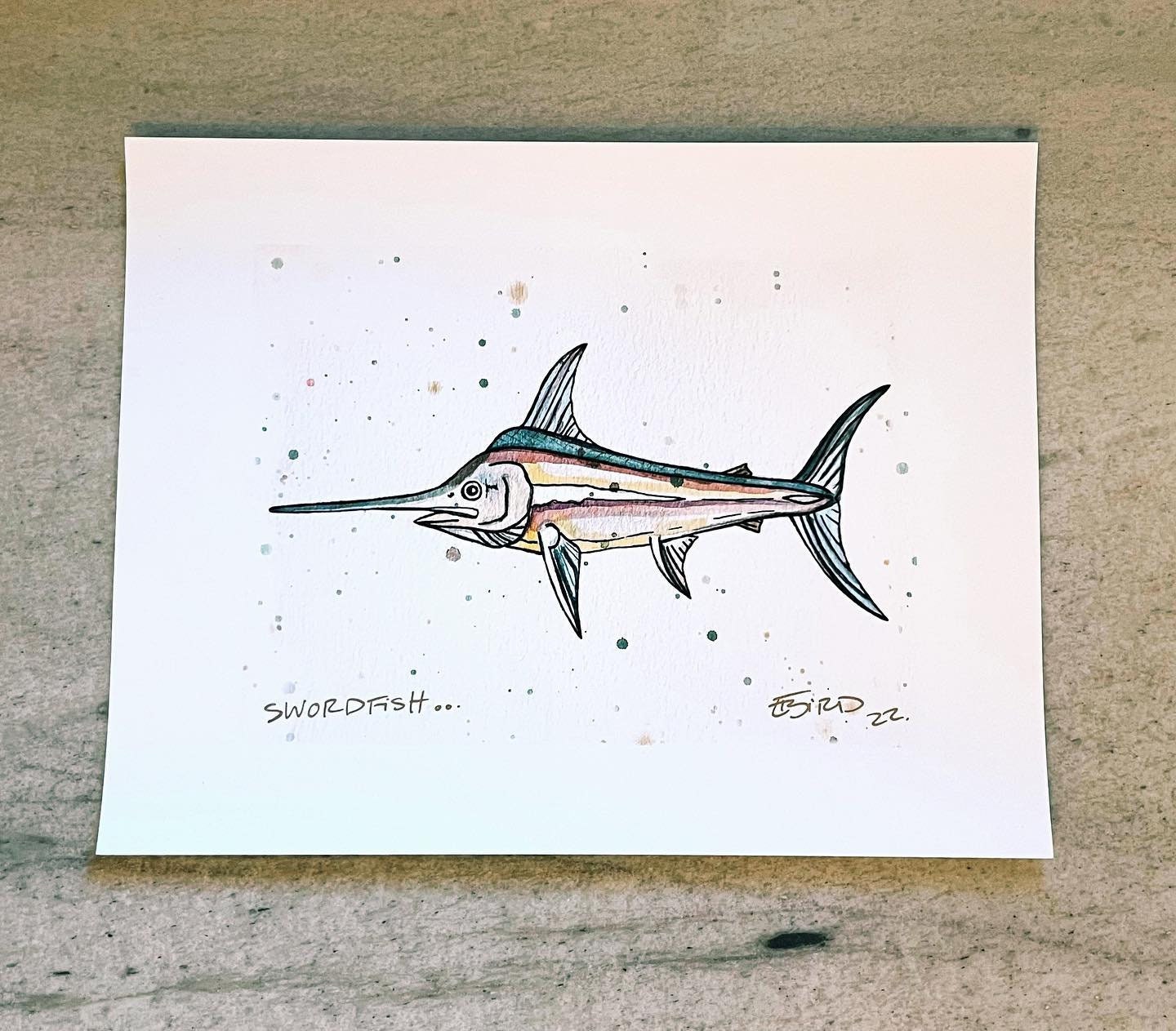 Swordfish Drawing