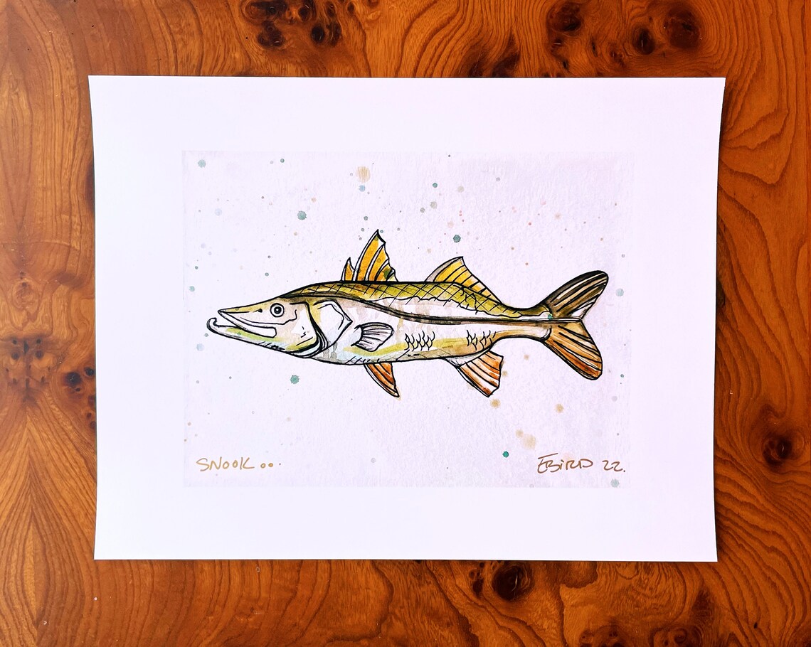 Snook Art, Snook Fishing, Snook Fish, Snook Drawing, Snook Painting ...
