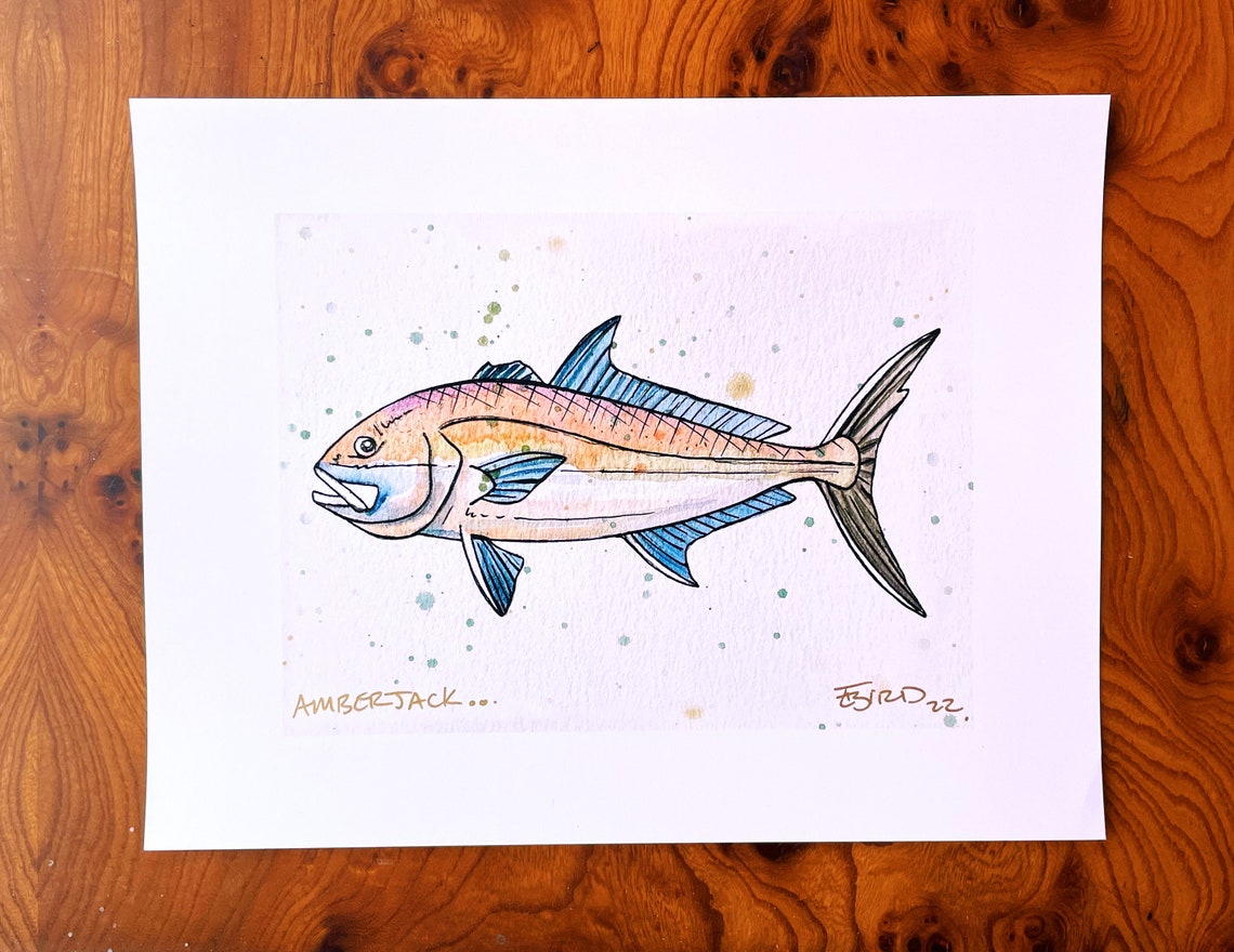 Amber Jack, Amber Jack Fish, Amber Jack Artwork, Amber Jack Art ...