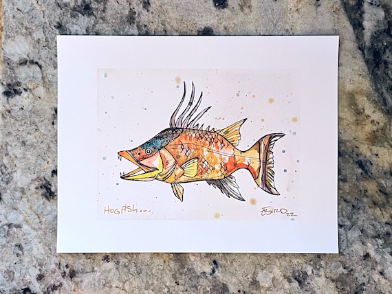 Hogfish Hogfish Art Watercolor Hogfish Fish Prints Fish - Etsy