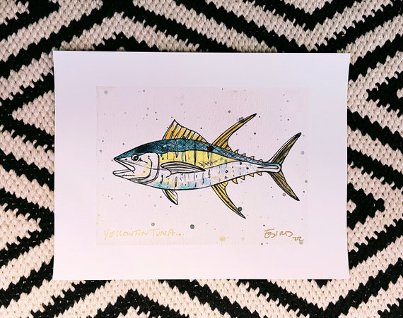 Yellowtail Tuna Drawing