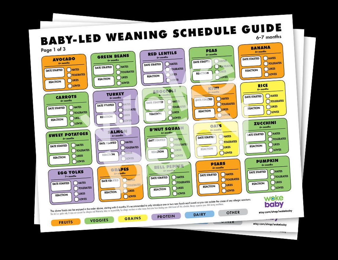 Baby-led Weaning BLW Schedule Printable Guide of 60 Foods - Etsy Canada