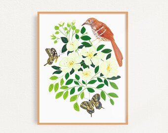 Georgia State Bird Art Print Georgia Brown Thrasher and - Etsy