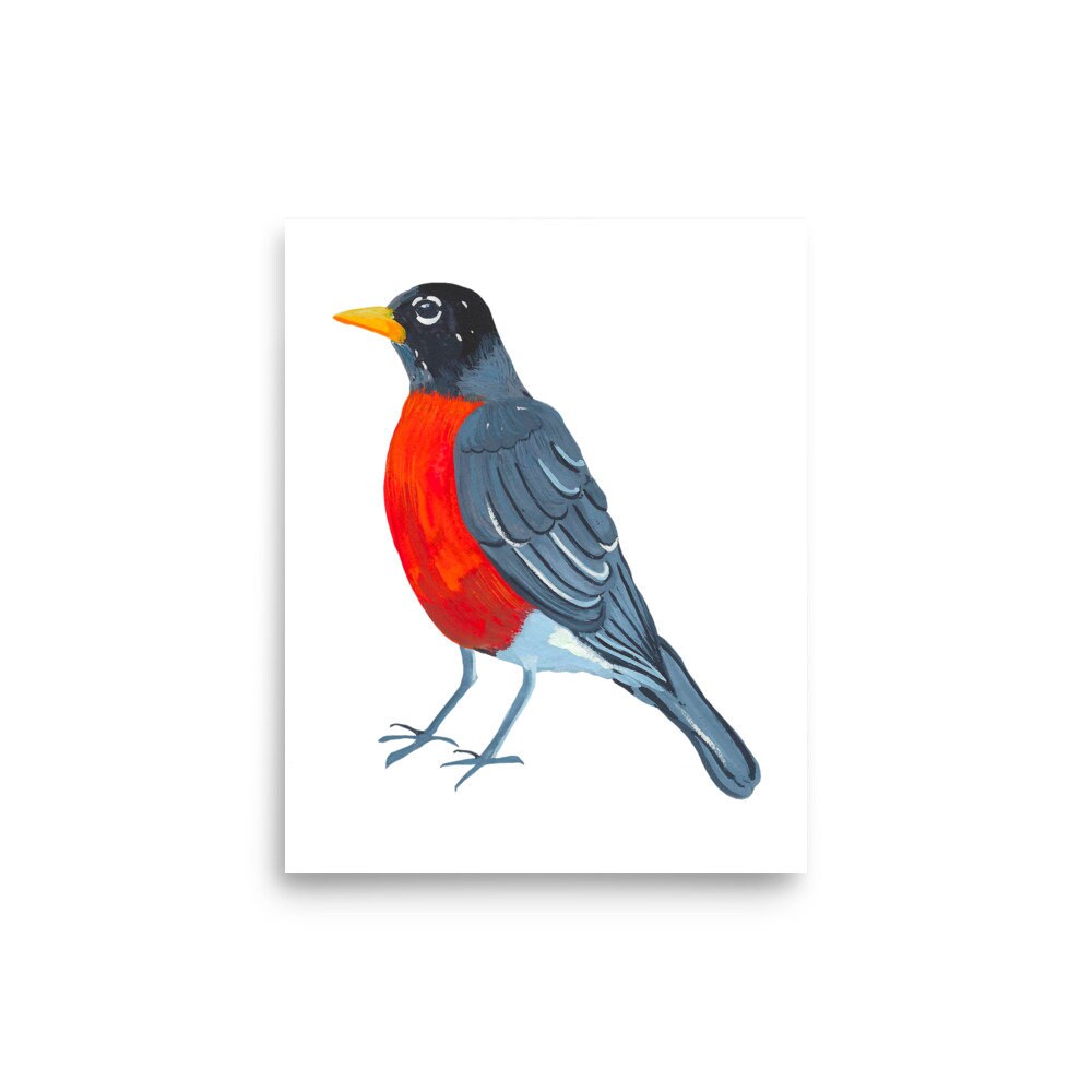 American Robin, Texas Bird Art Print, Watercolor Home Decor, Bird Wall ...