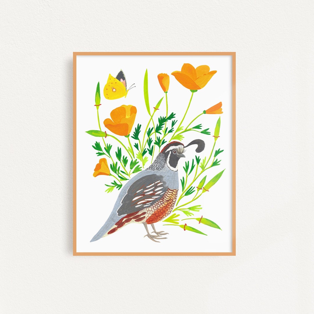 California Quail and Poppy Art Print, California State Bird, Butterfly ...