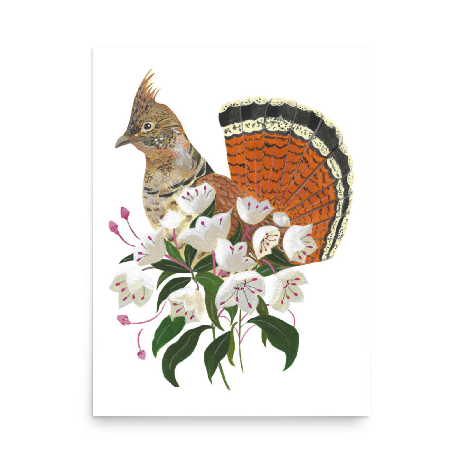 Pennsylvania Ruffed Grouse and Mountain Laurel Art Print, Pennsylvania ...