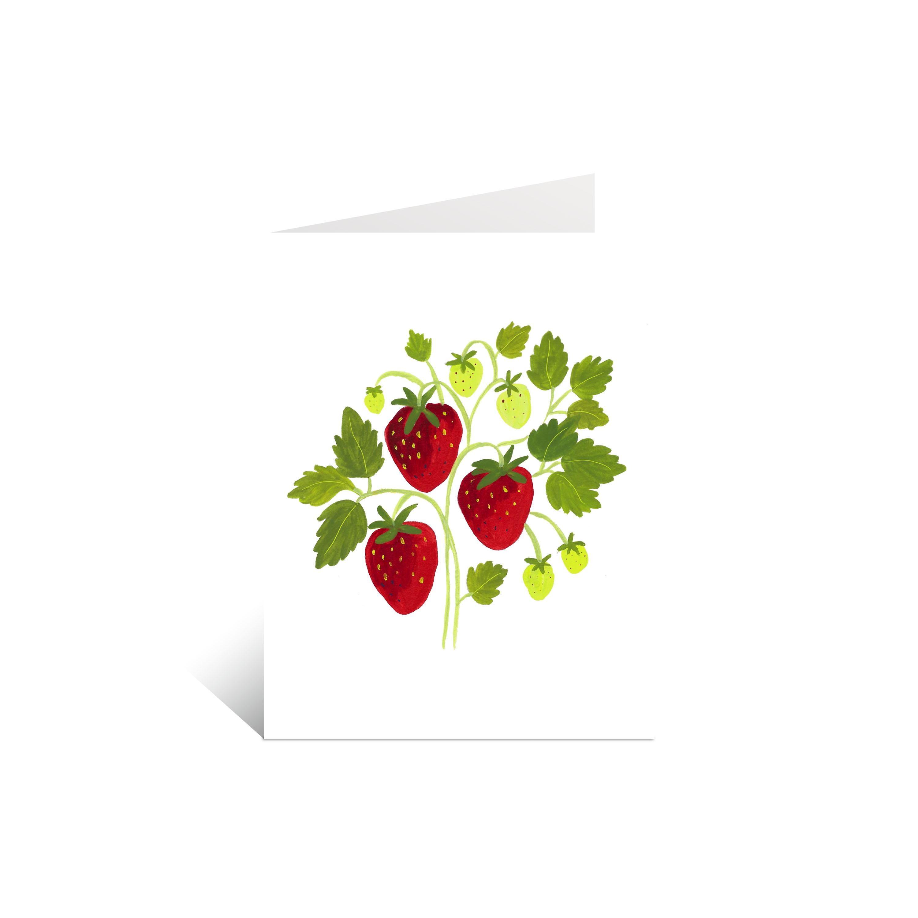 Hand-painted Summer Fruit Note Card Set: Strawberry, Peach, Plum ...