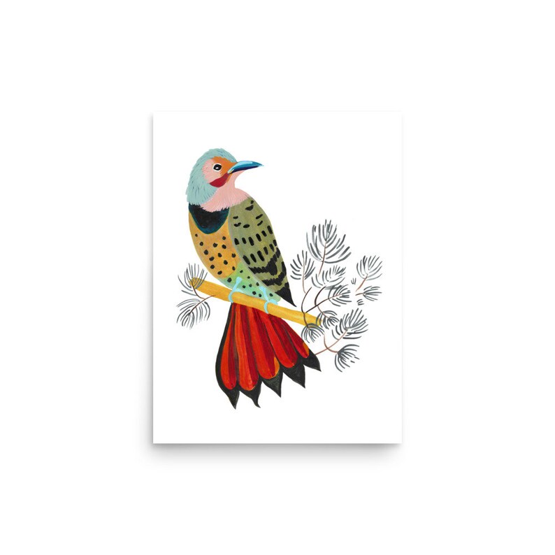 Woodpecker Bird on a Branch Art Print , Northern Flicker, Yellowhammer Wall Art - Etsy