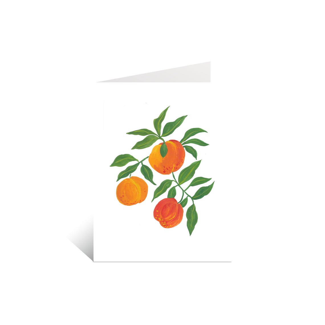 Hand-painted Summer Fruit Note Card Set: Strawberry, Peach, Plum ...