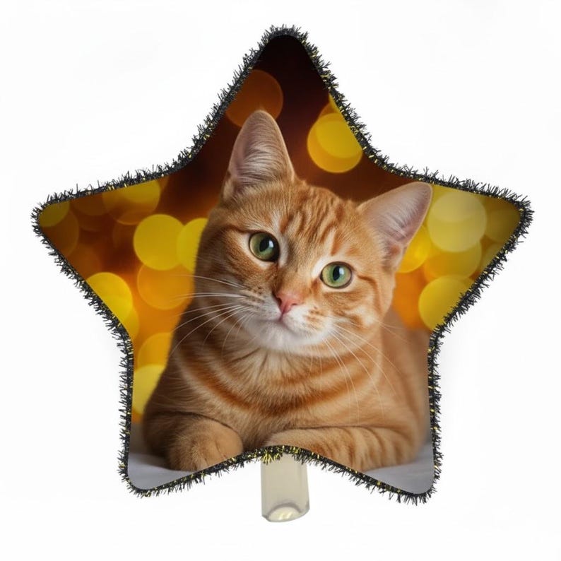 Custom Photo Light-up Star Tree Topper – Personalized Christmas ...