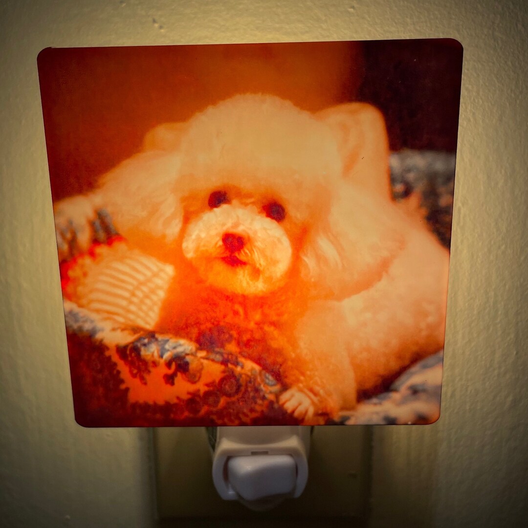 Silence of the Lambs 'precious' Dog Night Light: Retro Horror Decor - Etsy