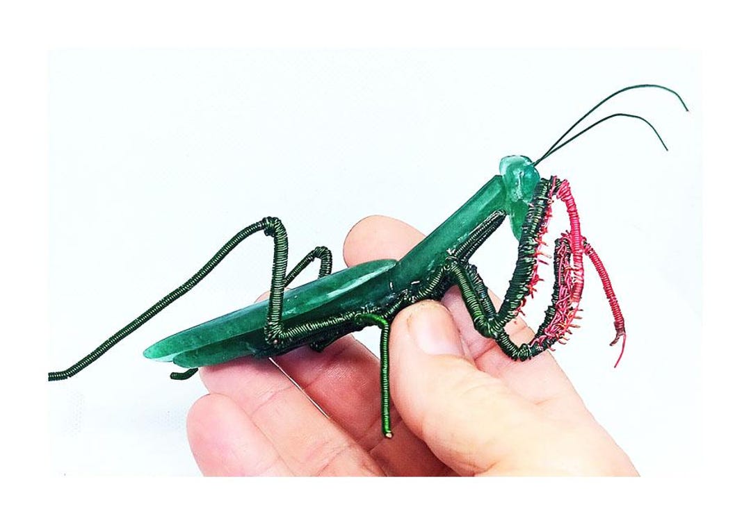 Giant Australian Gemstone Praying Mantis Model - Etsy