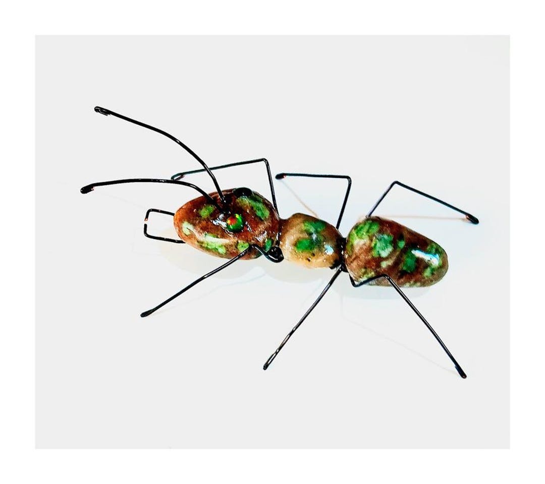 Nunderite Bull-ant Models - Etsy
