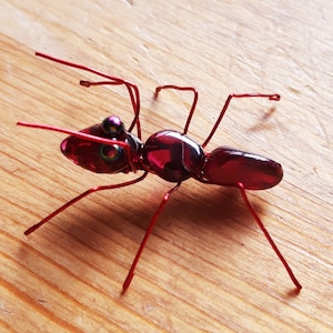 Red/pink Garnet Ant Models - Etsy