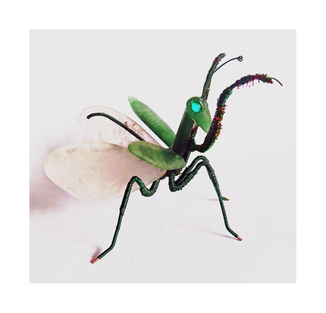 Praying Mantis in Defense Display australian Garden Mantis - Etsy