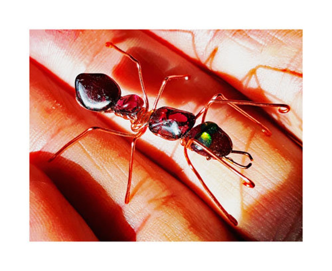 Red Garnet Ant Model - Etsy